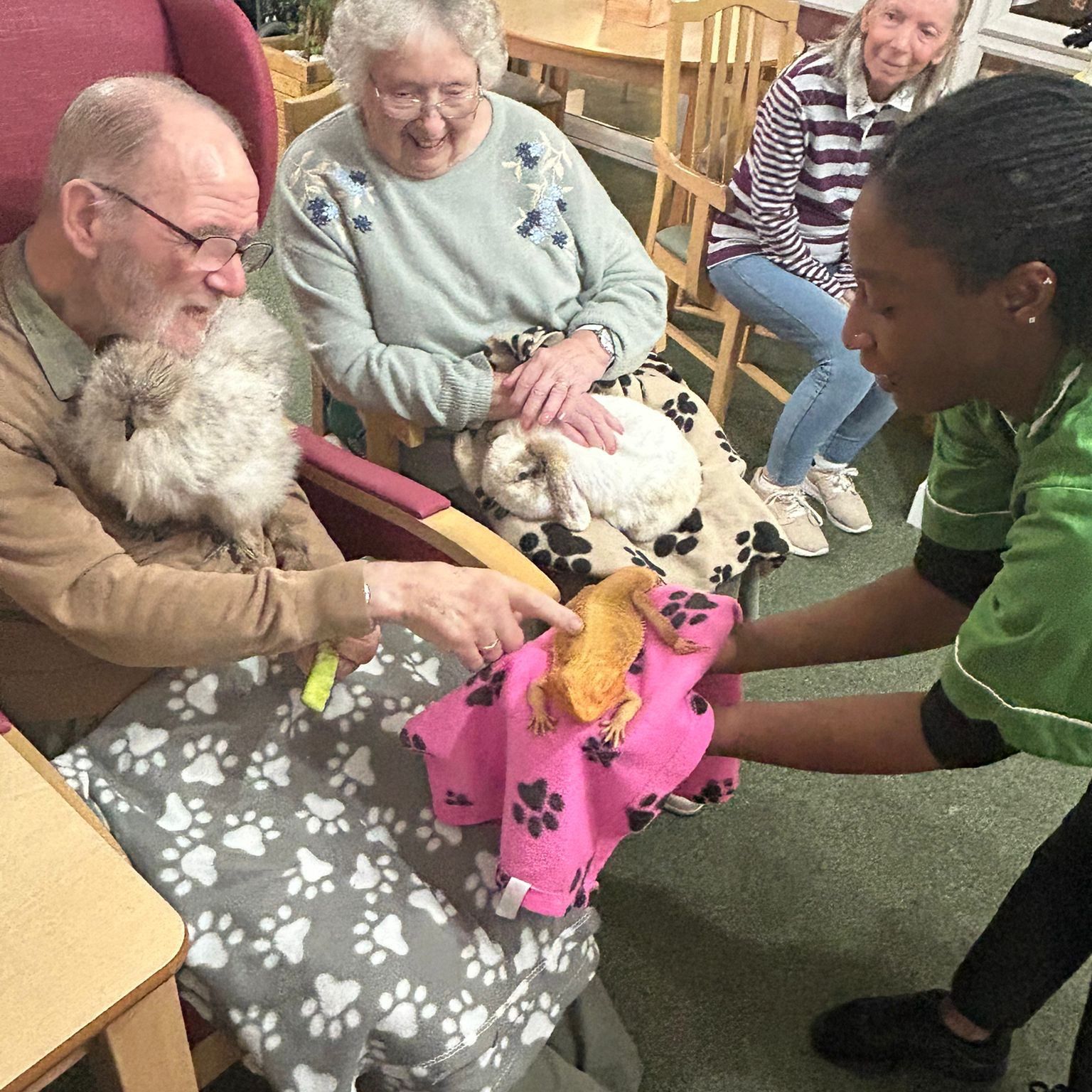 Animal Therapy….. - My Care